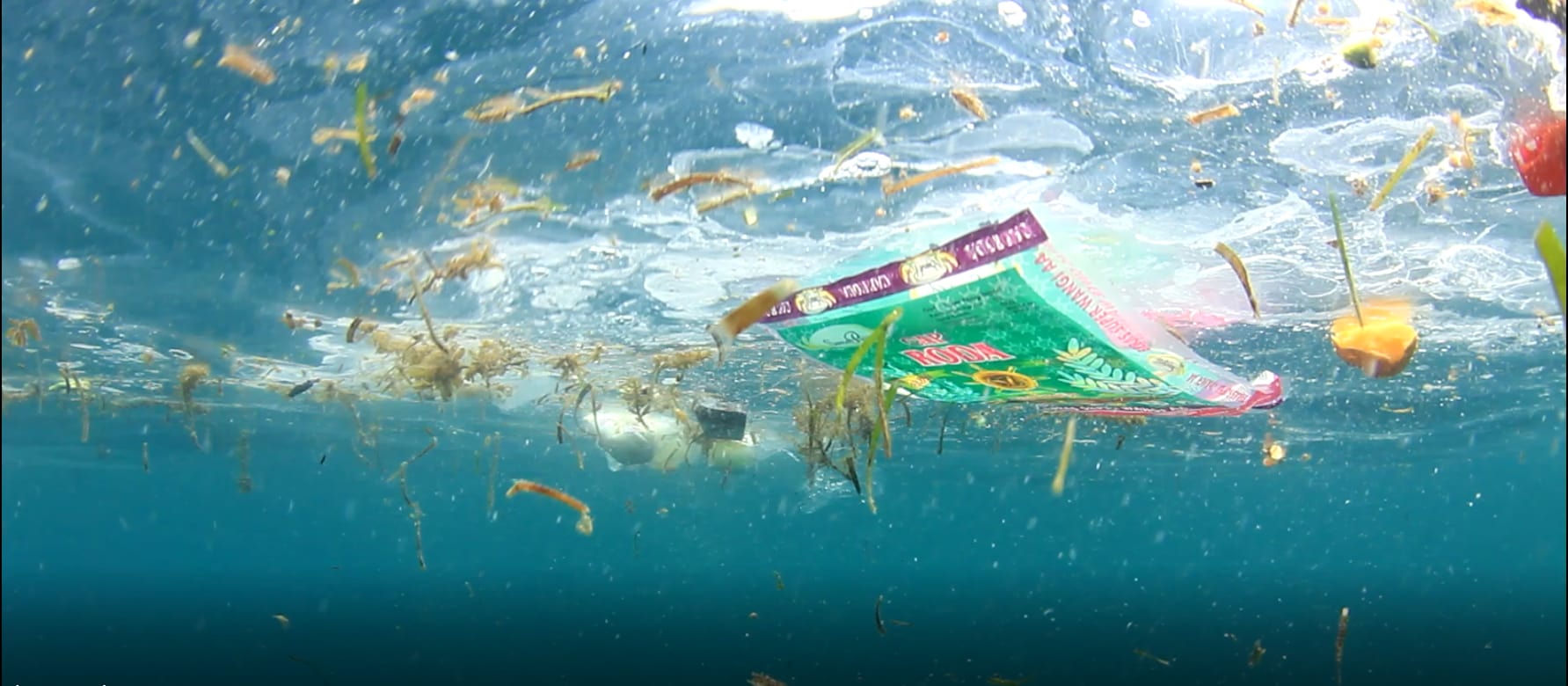 WASUP - World Against Single Use Plastic